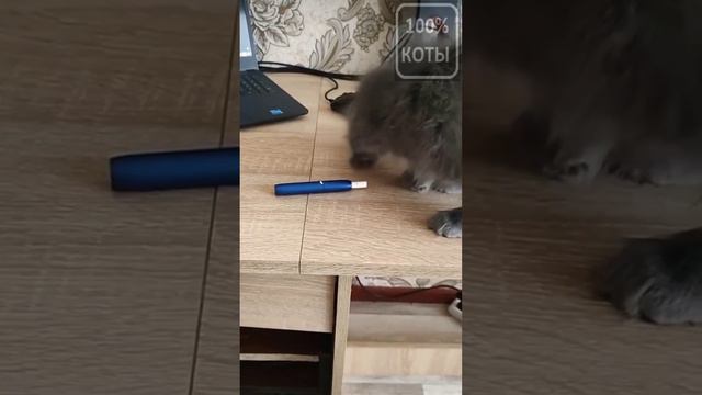 Учится это не моё