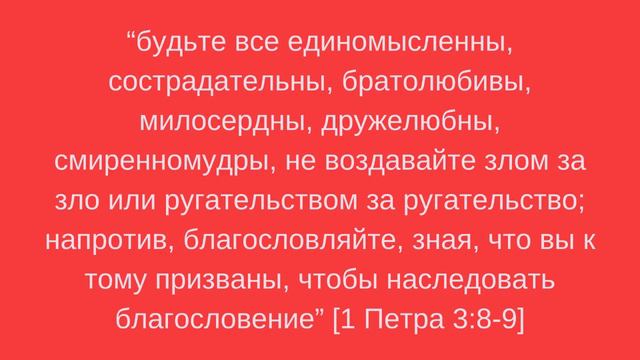 Послания Библии: пересказ с цитатами и комментариями