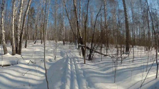 Лыжная прогулка 17.02.2020 г.