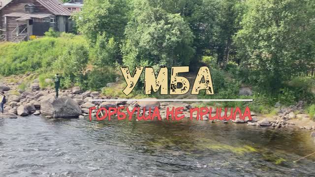 Умба - здесь рыбы нет
