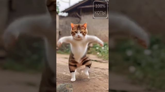 Всем бодрого утра !