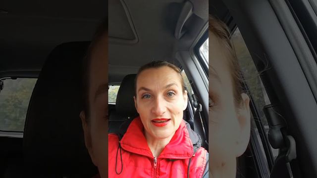 Сколько пирамид в Египте? #культурология #культура #лекции #shots #пирамида #египет #древнийегипет