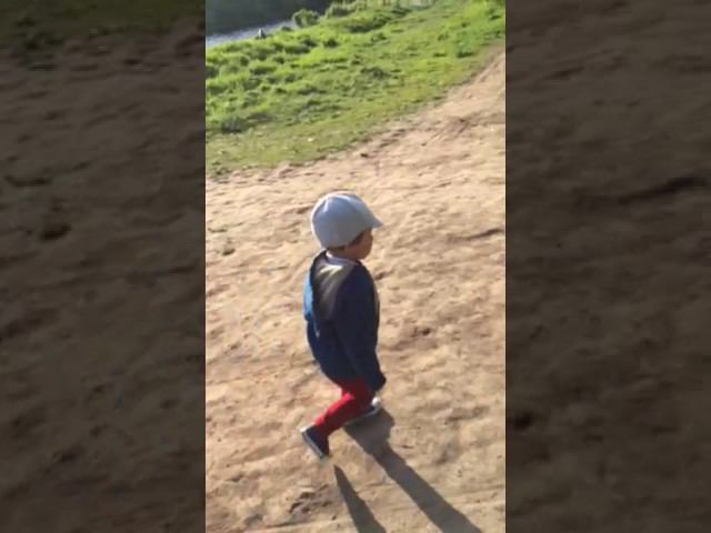 Белый голубьп