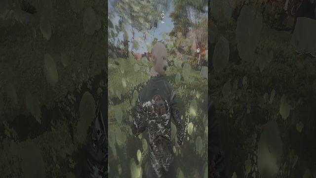 самый ожидаемый бой десятилеитя