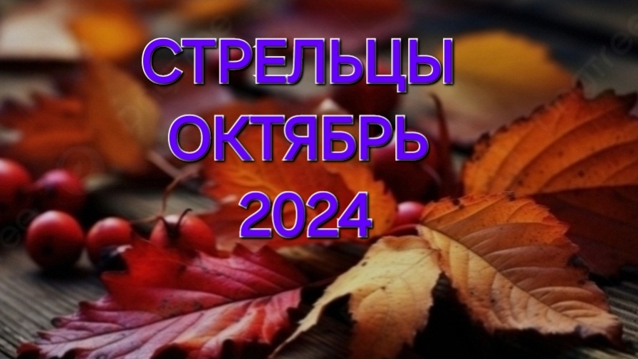 СТРЕЛЬЦЫ ОКТЯБРЬ 2024 ТАРО