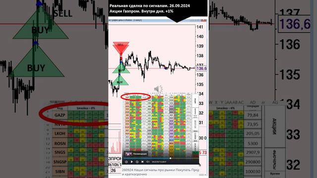 260924 Газпром Мультик по применению трансляции реаль сделка