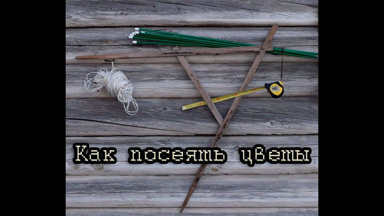 Как посеять цветы в апреле