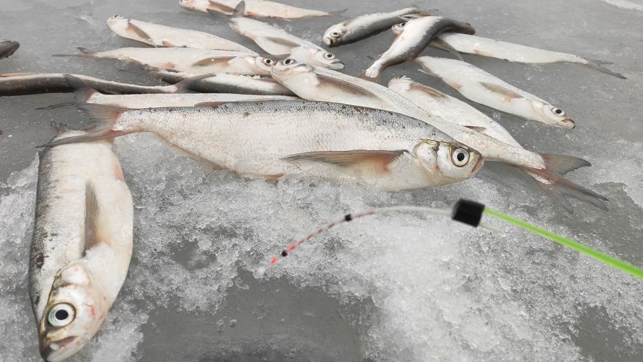РЫБАЛКА ТРЭШ - ДенЬ ГОЛОДАЮЩИХ, подгорает!! ЗИМНЯЯ РЫБАЛКА на удочки с мормышкой