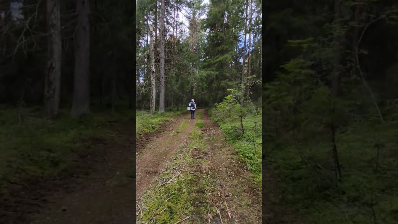 Жизнь, это сейчас. Мудрые мысли   #мудрость  #откровение