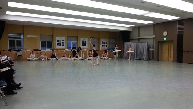 Диана СУ БИН(5 класс)