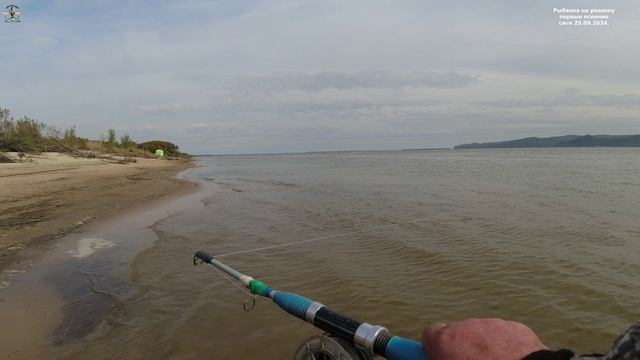 Рыбалка на резинку первые осенние сиги 25.09.2024