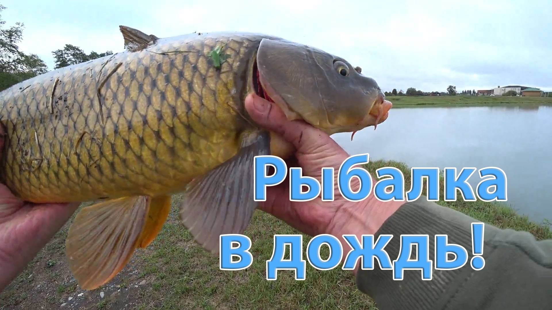 На улице льет дождь, а мы- на рыбалку!