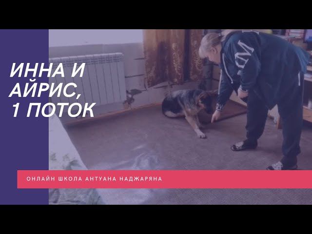 Инна и Айрис, 1 поток курса «Искусство позитивной дрессировки»