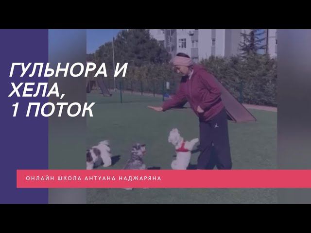 Гульнора и Хела, 1 поток курса «Искусство позитивной дрессировки»