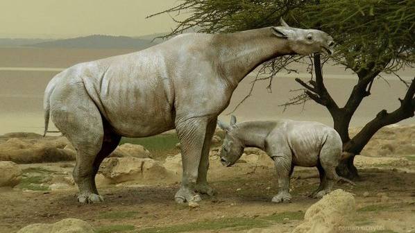 Индрикотерии - самые большие сухопутные млекопитающие