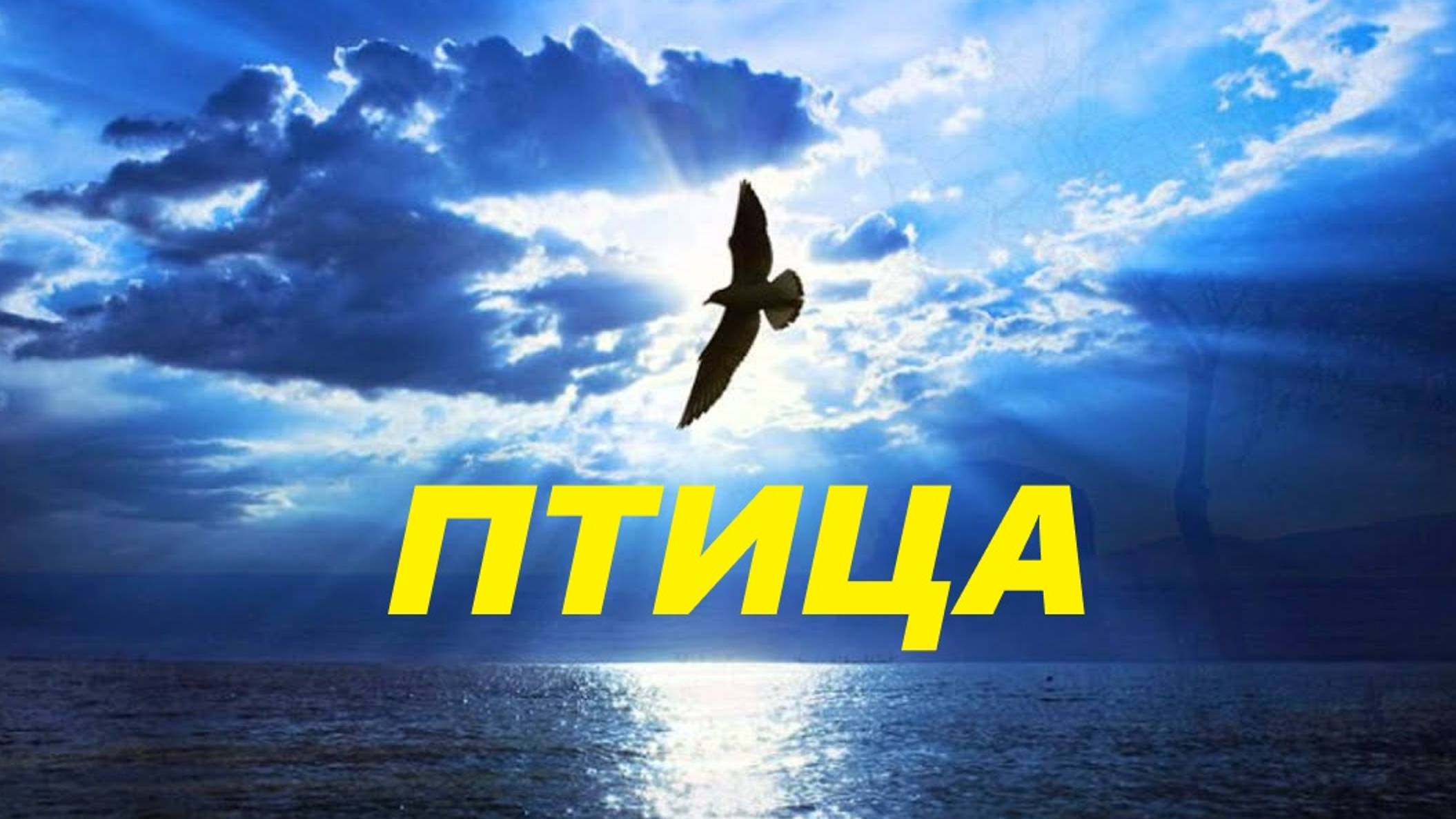 Птица