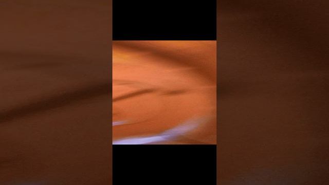 (2 часть) прогулка по ньтону