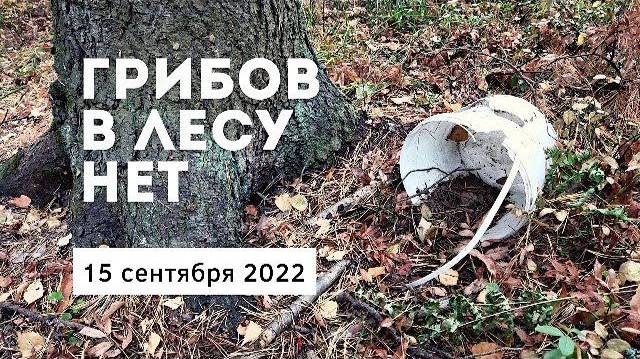 Не ходите в лес по грибы в середине сентября, там их нет...