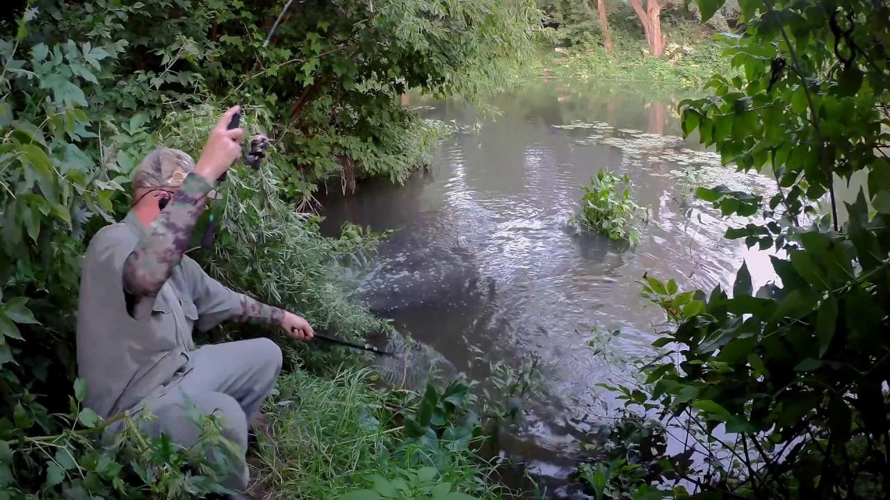 "Орёл мух не ловит..." Он ловит рыбу. Jintai Eagle в действии. Микроджиг и мормышинг.