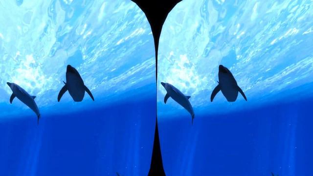 3D VR VIDEO 547 4K vr video_1080pHFR