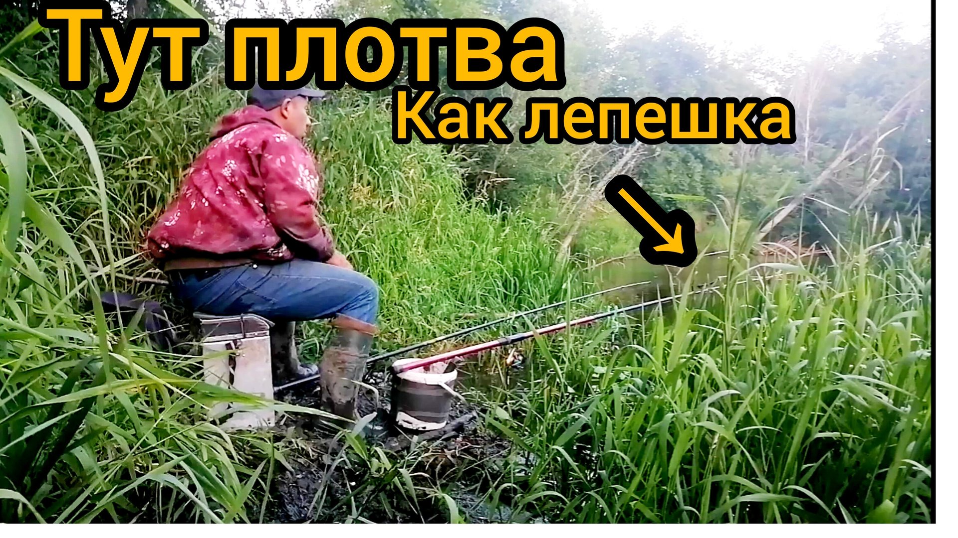 Рыбалка на лесной реке удалась