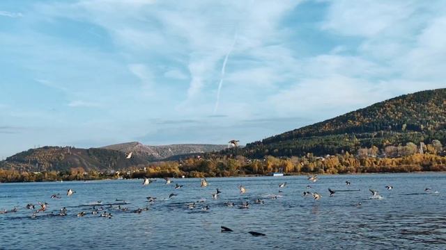 Красноярск_Удачный осенью 2024