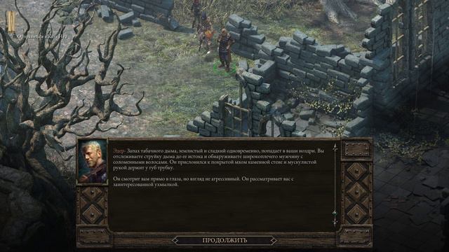 Pillars of eternity часть 4