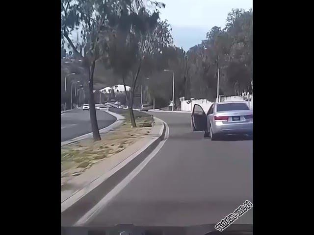 progulyatsya peshkom