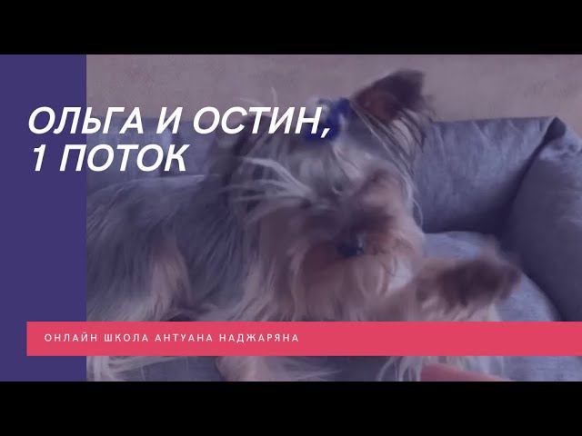 Результаты учеников курса по позитивной дрессировке, 1 поток