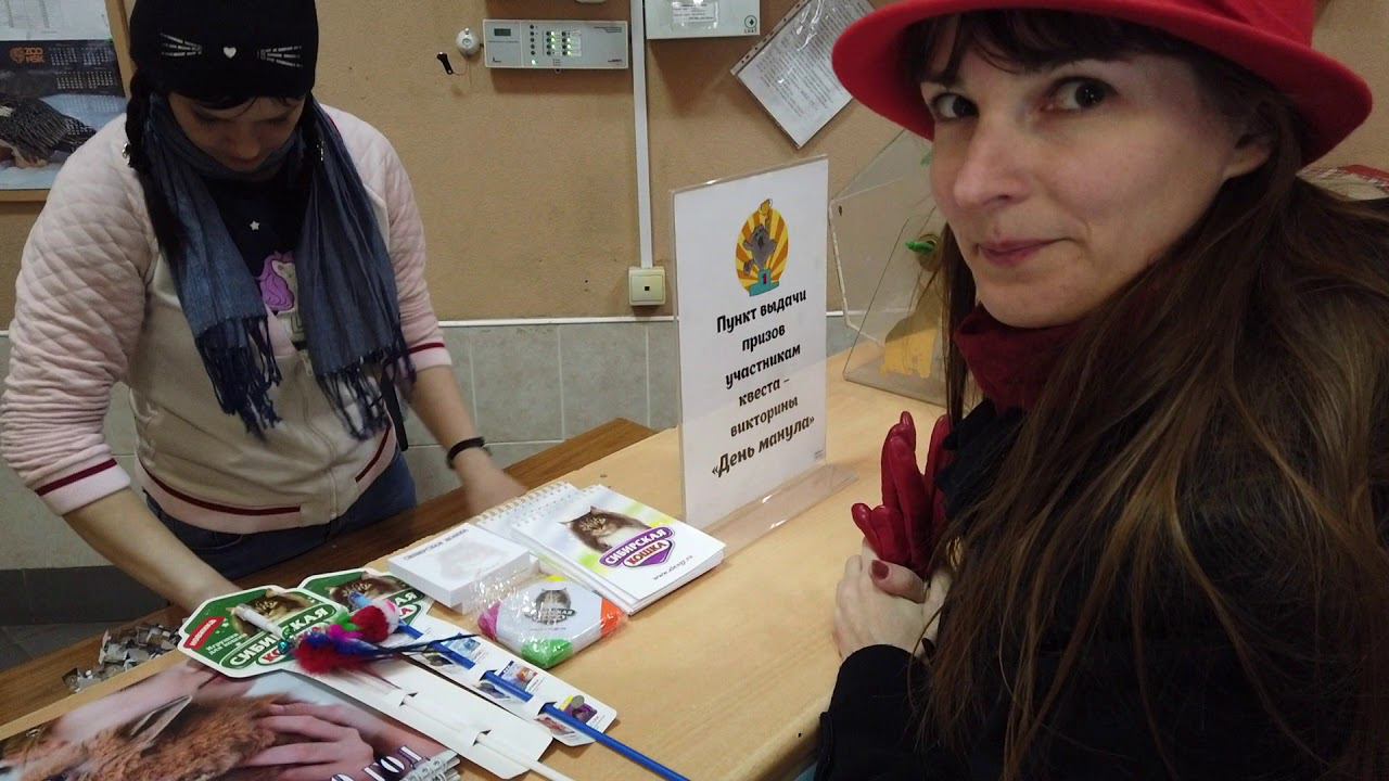 День манула в Новосибирском зоопарке