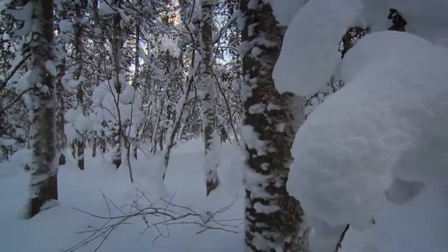 Великая река Амур часть 1 HD Природа России Дальний Восток