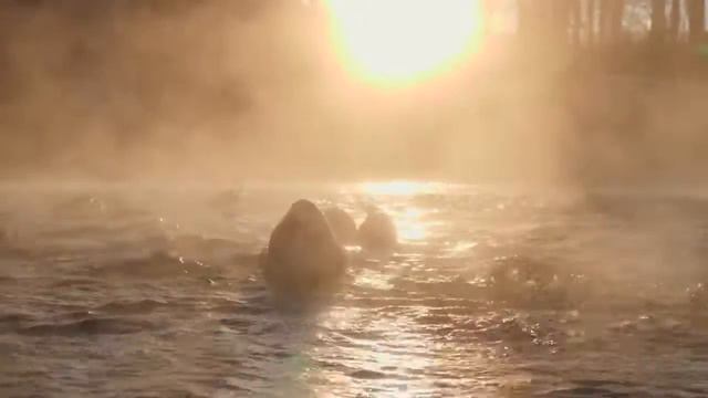 Геотермальная минеральная вода redox