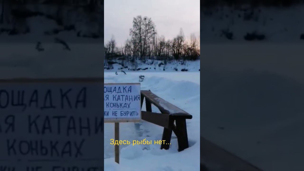здесь рыбы нет...