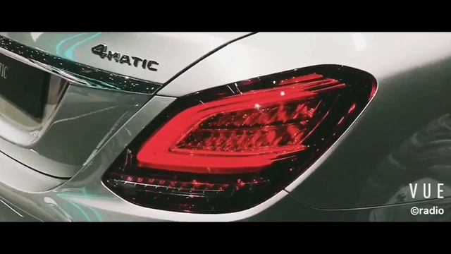 Швейцарский дневник