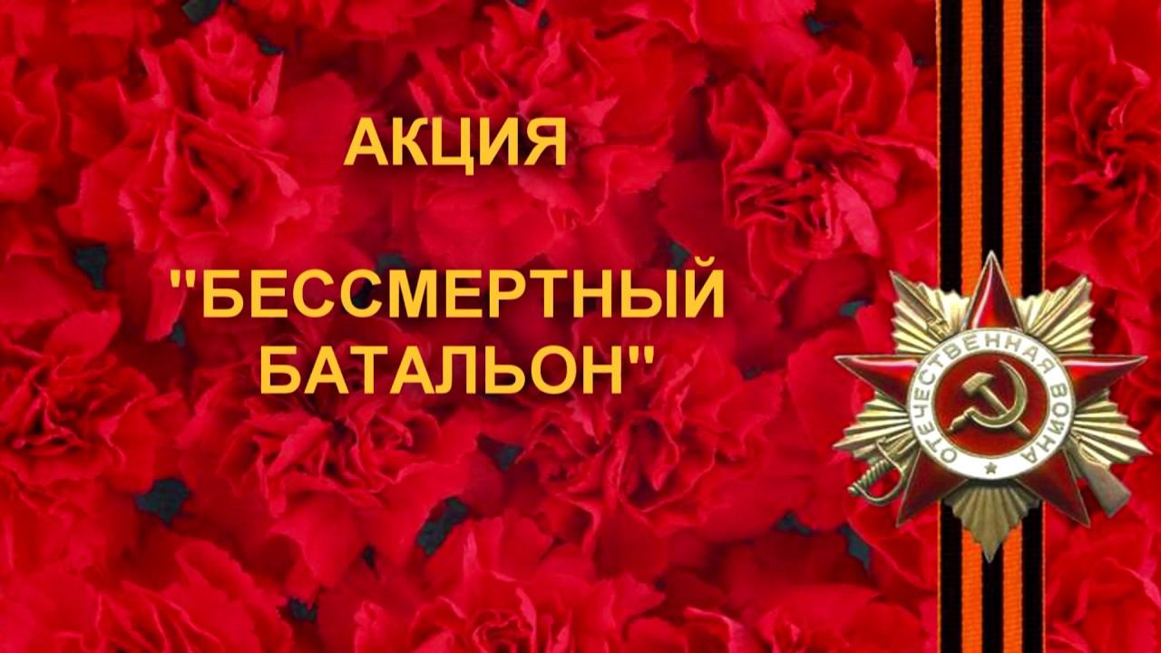 Акция  Бессмертный батальон в СШ №15 30 10 2013