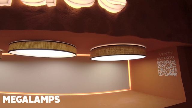 ST-LUCE EVOLUCE VENTE SLE6010