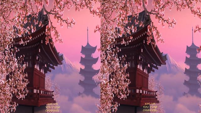 Blooming Sakura 3D VR VIDEO_1080pFHR