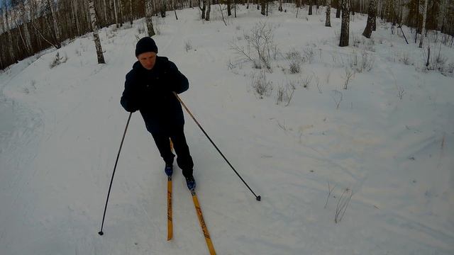 Лыжи 21.02.2020 г. А кто это сделал?