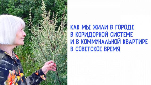 Как мы жили в городе в коридорной системе и в коммунальной квартире в советское время