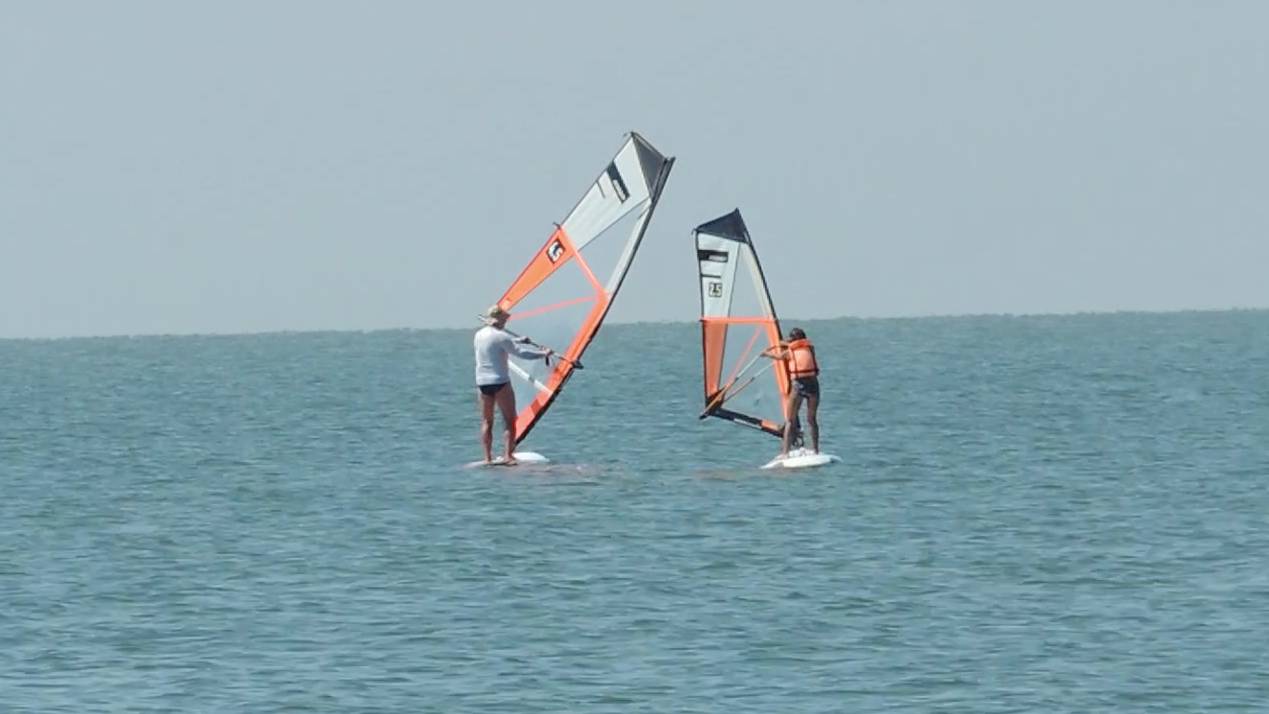 Мы любим Сёрфприют