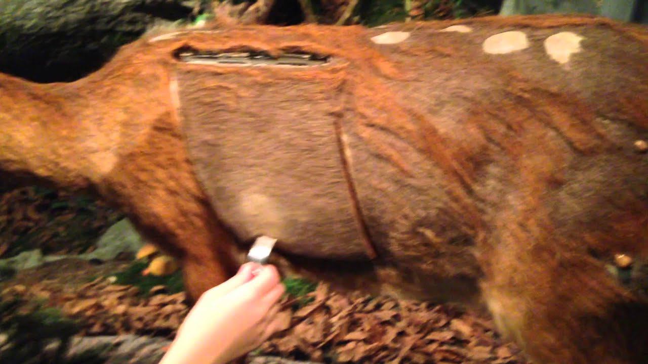 В Чехии и Австрии на Рождество и Новый Год.