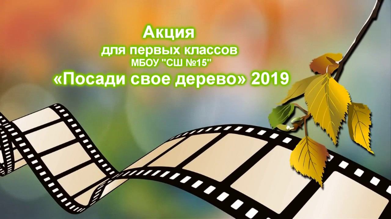 Посади своё дерево Акция для учащихся 1 классов школы 15