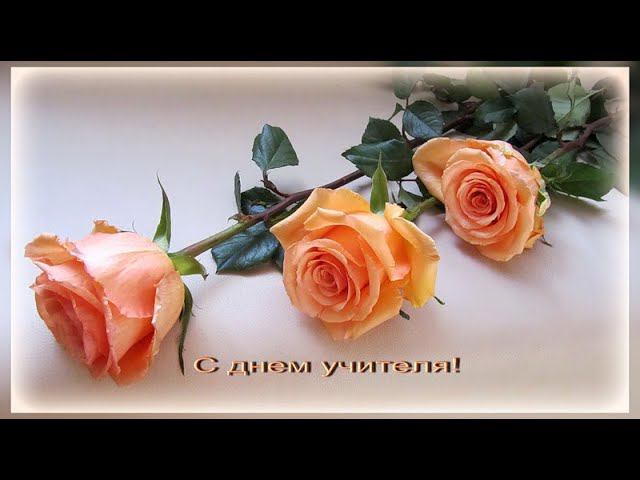 Праздничный концерт ко Дню учителя в школе 15