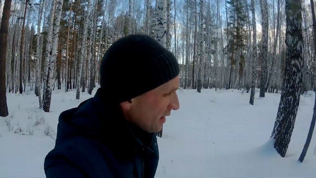 Чебаркуль. По нетоптаной лыжне до озера Кисегач 27.02.2020 г.