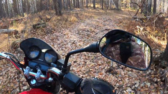 Bajaj Boxer 150. Закрытие сезона.17.10.2021 г.