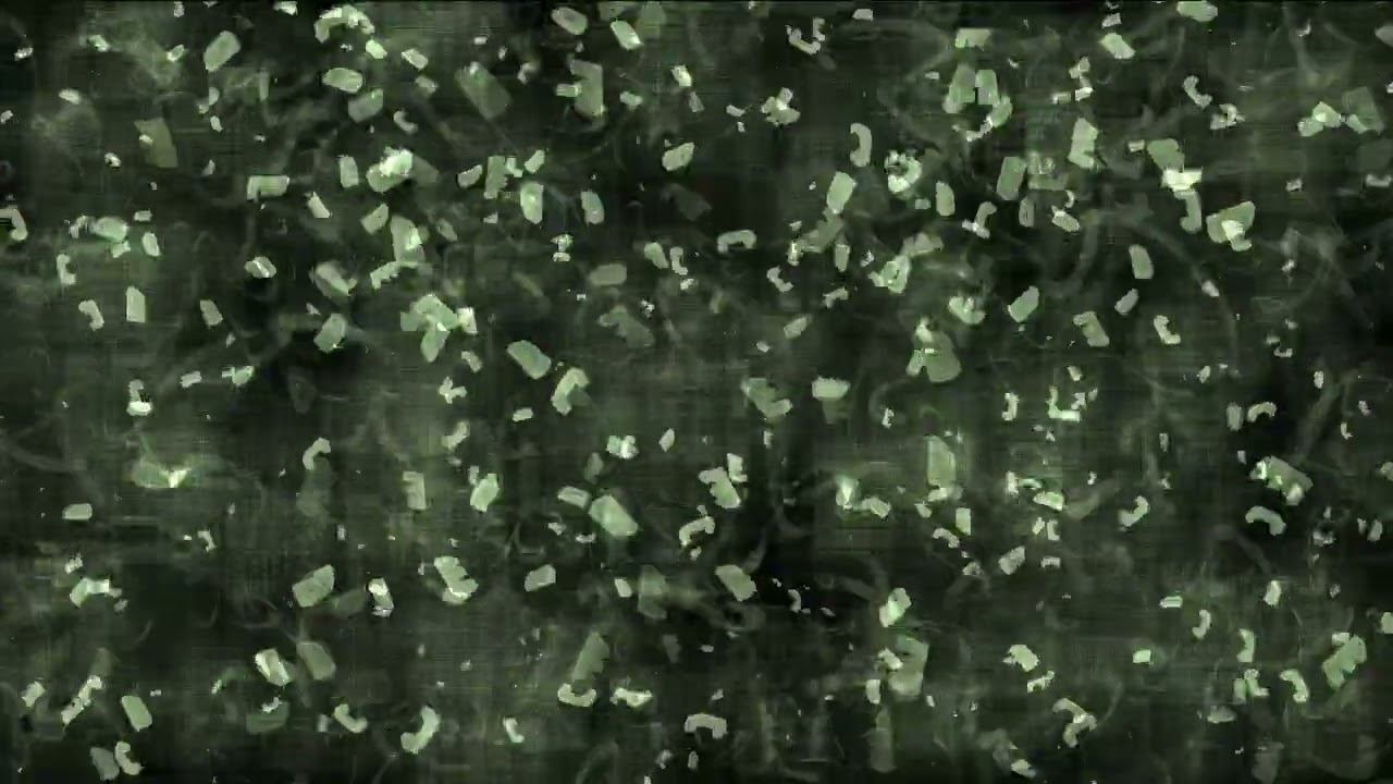 Футаж алфавитный