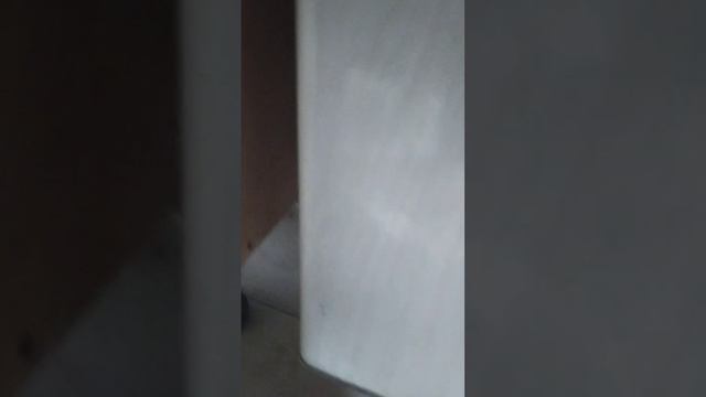 Котенок серый Пушистый