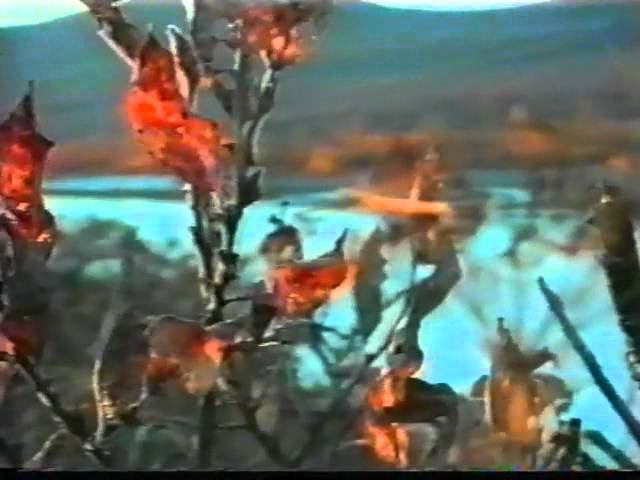 Воркута 2001г. Видеозарисовки. (от mNsergey)