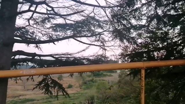 Якорная Щель