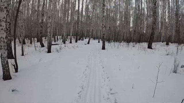 Чебаркуль. Лыжи после работы 23.03.2020 г.